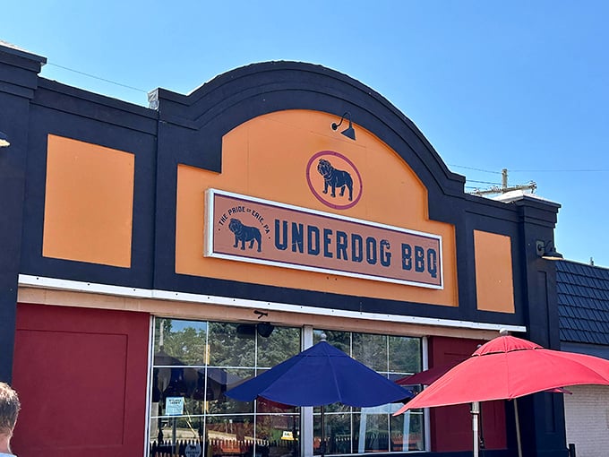 The bold orange and black exterior of Underdog BBQ stands as Erie's beacon of barbecue brilliance, complete with colorful patio umbrellas inviting you to stay awhile.