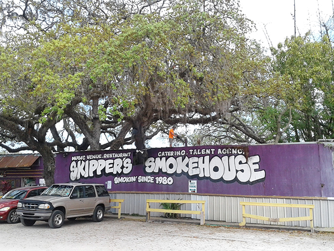 The purple exterior of Skipper's Smokehouse stands out like a quirky roadside attraction, with majestic oak trees and Spanish moss creating the perfect old Florida backdrop.