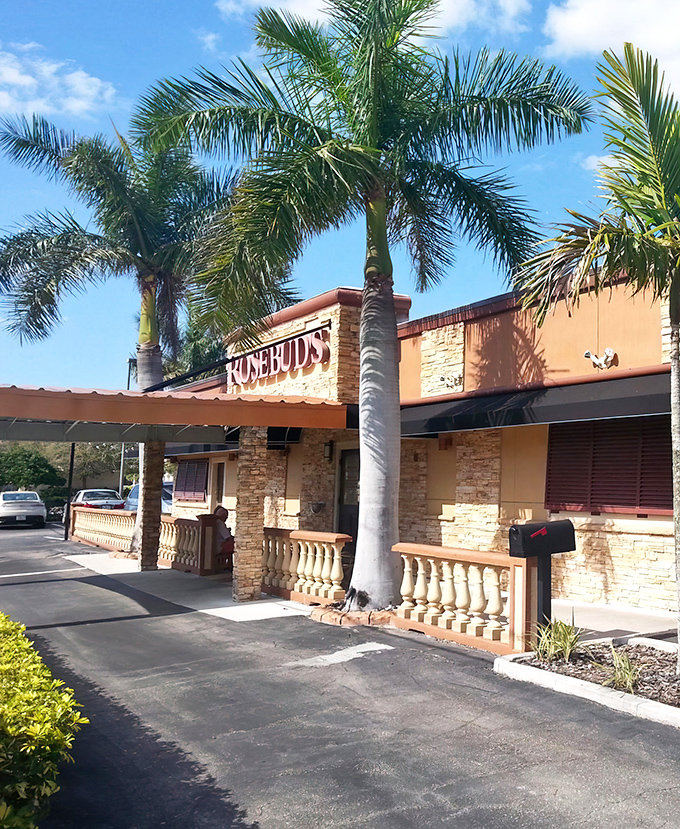 Palm trees stand guard at this unassuming culinary fortress in Osprey. The stone facade and welcoming entrance hint at the treasures waiting inside.