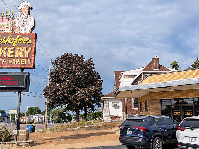 The iconic Federhofer's sign stands sentinel over Gravois Road, a beacon of buttery hope for sweet-toothed St. Louisans since long before calorie counting was invented.