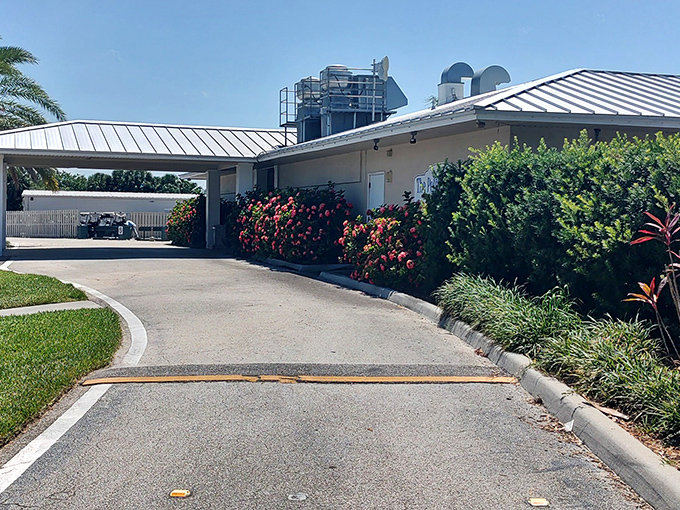 The unassuming exterior of Pelican Diner, where Florida's culinary treasures hide behind flowering bushes and a metal roof that gleams like a secret signal to hungry travelers.