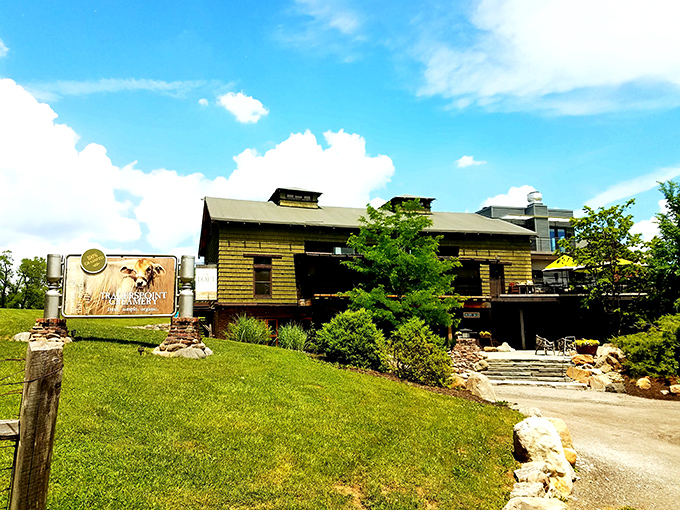 Rustic charm meets dairy paradise at Traders Point Creamery. This isn't just a farm&mdash;it's where milk dreams come true under Indiana's big blue skies.
