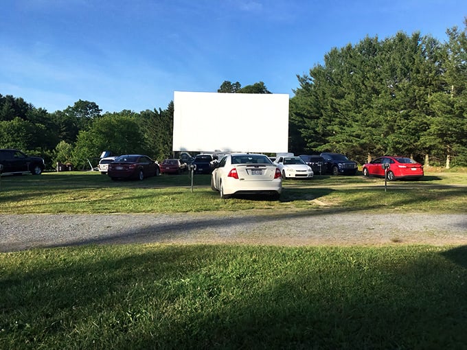 Cars lined up facing the iconic white screen, a scene unchanged since the golden age of American entertainment. Nature provides the perfect backdrop for cinematic magic.