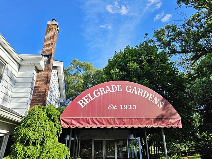 The iconic red awning of Belgrade Gardens stands like a beacon for fried chicken pilgrims, promising delicious traditions since 1933.