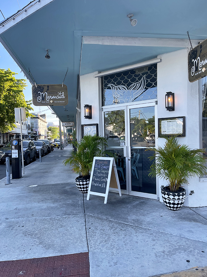 The unassuming entrance to seafood paradise. Two potted palms stand guard like tropical bouncers at this Fleming Street gem.