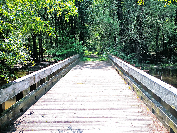 Wooden bridges beckon adventure seekers into Nescopeck's emerald embrace. Cross over and leave your worries on the other side.