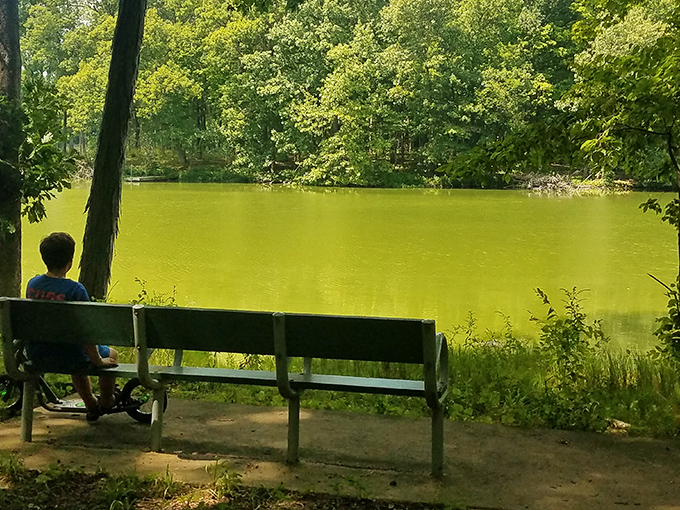 That bench isn't just offering a seat; it's selling front-row tickets to nature's most peaceful show &ndash; no subscription required.