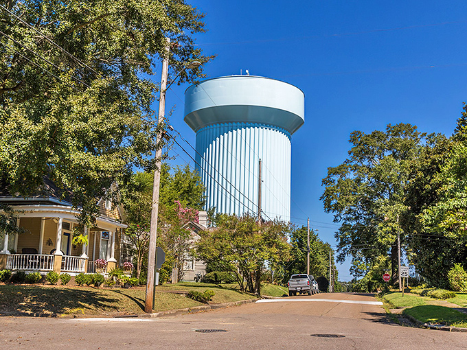 Downtown Columbus offers that perfect small-town charm with tree-lined streets and historic brick buildings that whisper stories from another era.