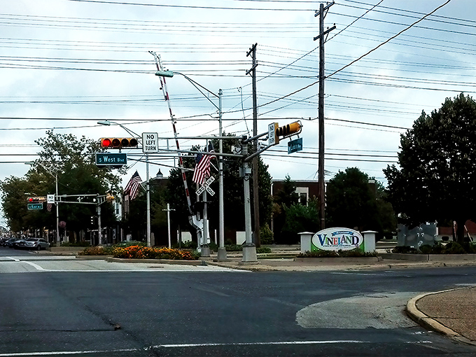 Welcome to Vineland! Where American flags flutter proudly at intersections and the town sign greets you with small-town charm that's increasingly rare in our fast-paced world.