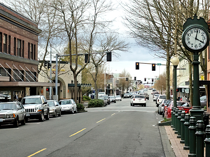 Downtown Olympia's tree-lined streets offer small-town charm with big-city amenities, where vintage streetlamps stand guard over locally-owned shops that haven't surrendered to chain-store invasion.