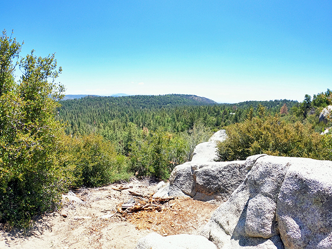 Nature's infinity pool without the hefty resort fee&mdash;endless carpets of pine forest stretching toward mountains that seem to whisper ancient secrets.