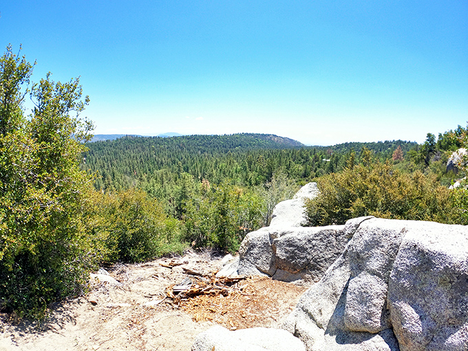 Nature's own IMAX theater unfolds at Indian Vista, where endless forests stretch toward distant mountains under California's impossibly blue sky.