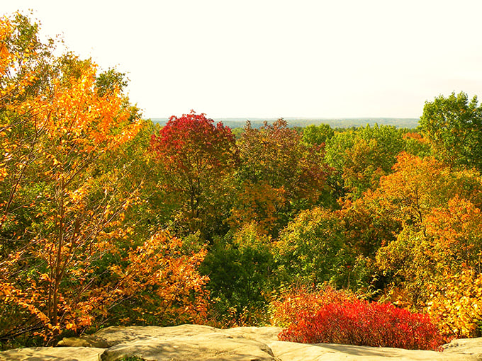 Nature's autumn palette on full display at Ledges Overlook. Those fiery reds and golden yellows aren't just colors&mdash;they're Ohio showing off its seasonal wardrobe.