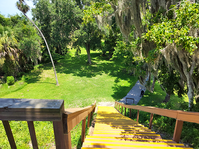 Wooden stairs descend into a verdant paradise where ancient history and natural Florida converge in a symphony of greens and golden sunlight.