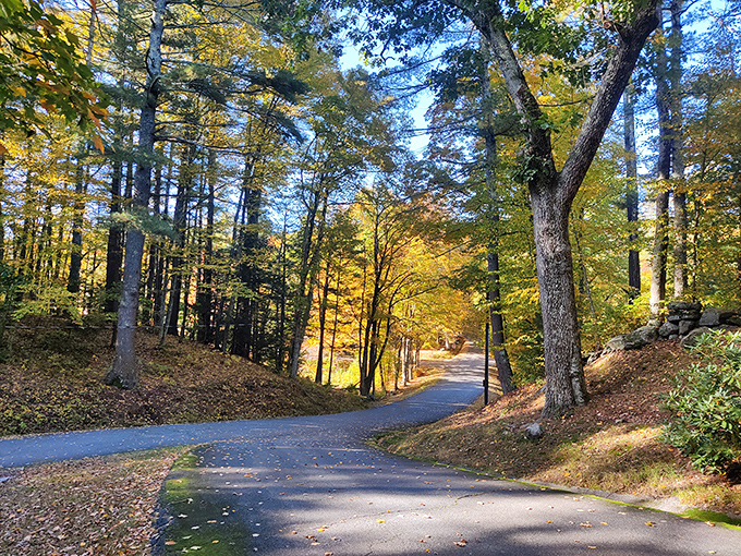 That autumn explosion of color stretching across the hills makes even the trees look like they're showing off.