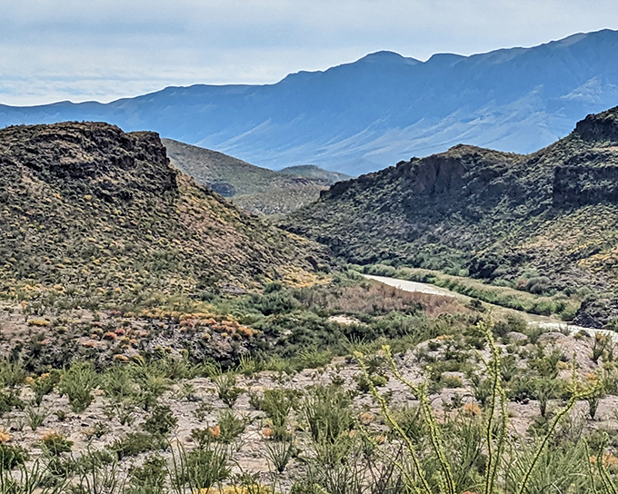 The Chihuahuan Desert unfolds like nature's IMAX screen, with layers of mountains creating a depth that makes your smartphone camera weep with inadequacy.