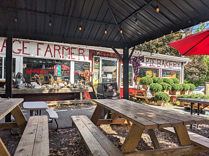 The rustic charm of Village Farmer and Bakery welcomes you like an old friend. Those picnic tables have witnessed countless "pie-induced" moments of bliss.