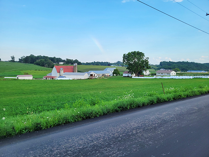 Rolling farmland stretches toward the horizon, where red barns and white farmhouses create a timeless tableau of rural simplicity.
