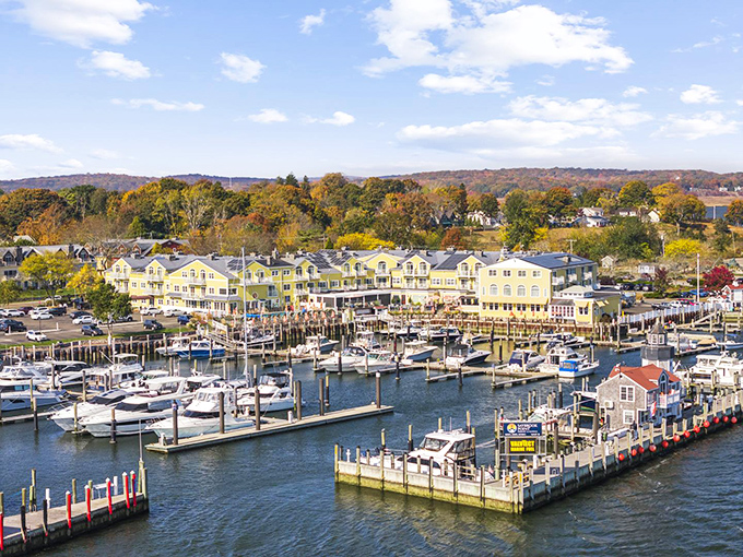 Saybrook Point Marina isn't just a place to dock boats&mdash;it's where New England's nautical dreams come with a side of autumn splendor.