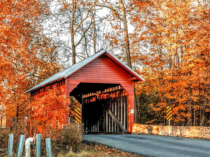 Like autumn decided to throw a party and invited this charming red bridge as the guest of honor. Nature's perfect frame for Maryland's smallest covered bridge.