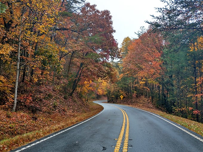 Nature's autumn fashion show on full display &ndash; the Russell-Brasstown Scenic Byway dressed in its Sunday best.