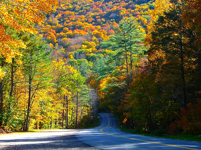 Those autumn curves hit different when Mother Nature's showing off her best work along the Mohawk Trail. 