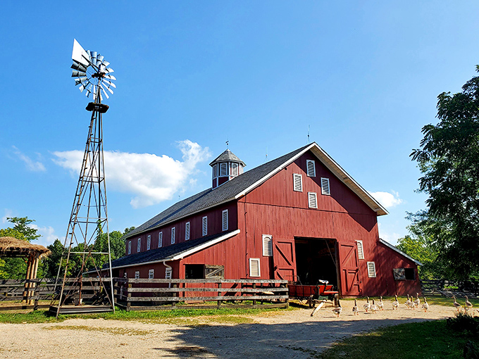 That classic red barn against the blue Ohio sky isn't just photogenic&mdash;it's a portal to the 1880s where your smartphone becomes the most anachronistic thing about you.