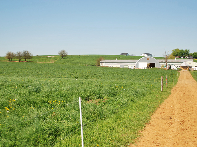 Rolling green pastures meet classic white barns under an endless blue sky&mdash;this isn't a Windows screensaver, folks, it's the real Pennsylvania farm experience.