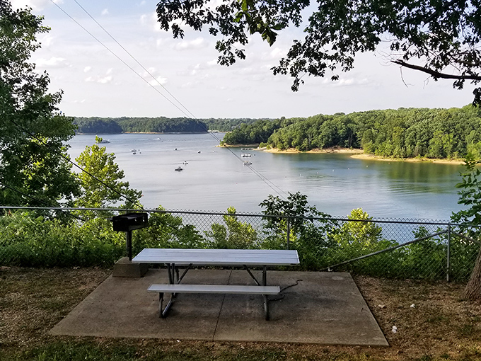 Nature's front-row seat: this picnic area offers million-dollar views without the admission price. Just BYO sandwich and prepare for instant serenity.