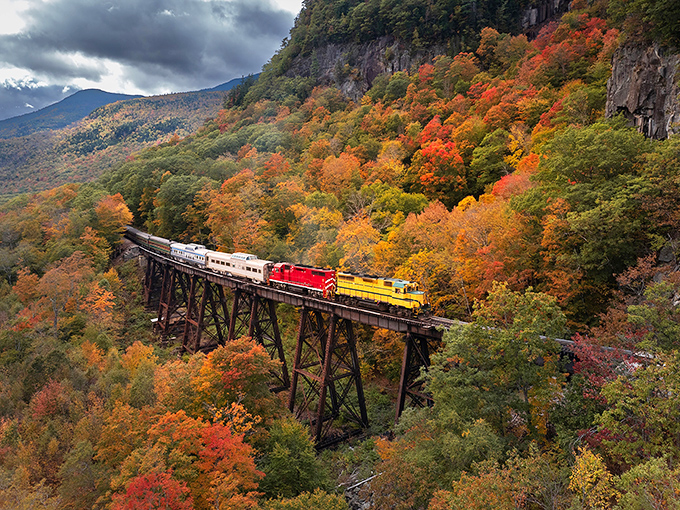 Fall foliage transforms this railway journey into a moving painting. Those colors aren't Photoshopped, folks&mdash;that's pure Georgia autumn magic!