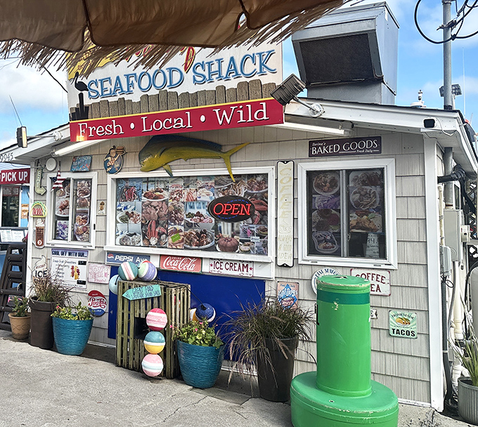 The weathered sign promises "Fresh • Local • Wild" – three words that perfectly sum up the coastal Carolina experience waiting inside this unassuming seafood haven.