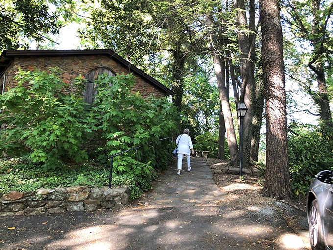 Follow the winding path through towering trees to discover this hidden culinary gem&mdash;nature's perfect appetizer before the feast within.