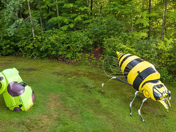 Schaefer&rsquo;s Auto Art turns old car parts into wild imagination, like this giant mechanical bee ready to take flight.