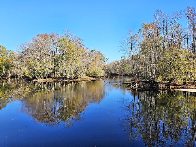 Mirror, mirror on the river &mdash; the Lumber&rsquo;s glassy surface reflects the world so perfectly, even Narcissus would pause to admire.