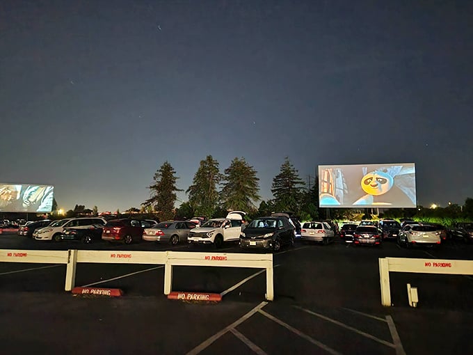 Movie magic under the stars! Cars line up at West Wind Sacramento 6 Drive-In, where the glow of massive screens transforms an ordinary parking lot into cinema paradise.