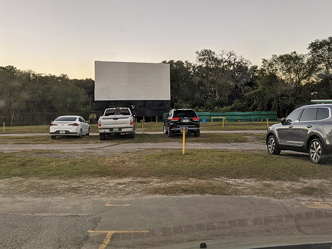The classic American scene: cars lined up before the towering white screen, waiting for dusk to transform an ordinary field into movie magic.