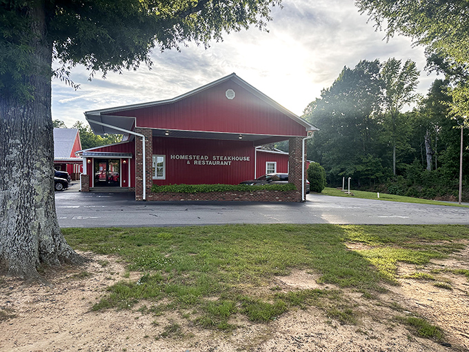 The iconic red barn exterior of Homestead Steakhouse stands like a beacon for hungry travelers. Rural charm meets culinary excellence in Timberlake.
