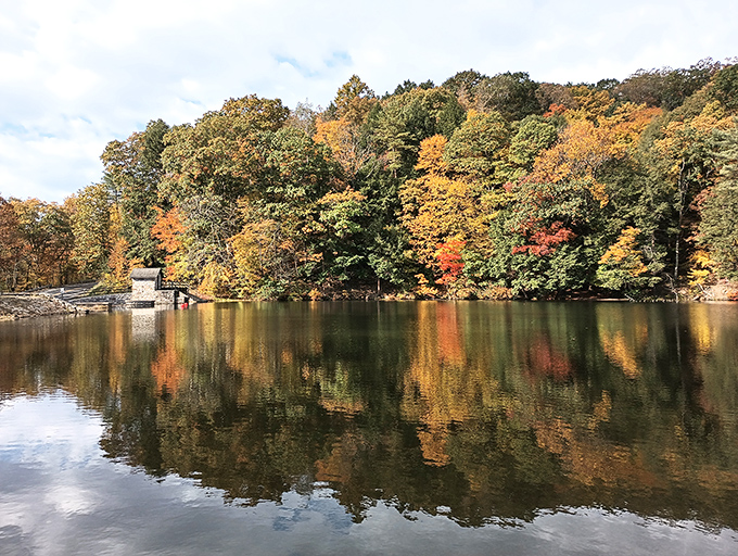 Nature's perfect mirror act. Fall foliage reflects on Greenwood Lake's surface like Mother Nature showing off her watercolor skills.