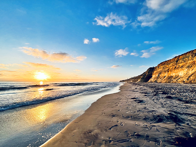 Golden hour perfection at Torrey Pines where the sun doesn't set so much as it puts on a farewell performance worthy of a standing ovation.
