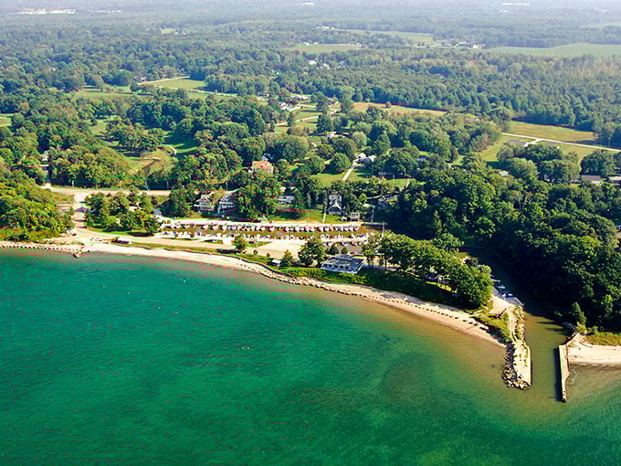 Lake Erie's turquoise waters meet lush green shores in a view that rivals any ocean postcard you've ever pretended to send.