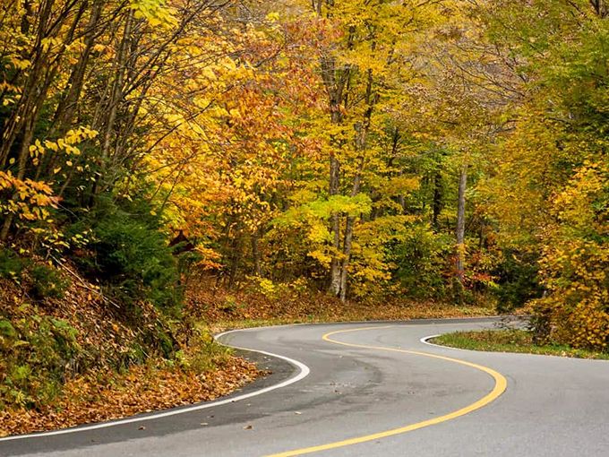 When the road looks this good, you'll find excuses to take the long way home every single time.