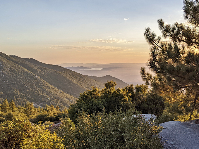 Golden hour magic transforms these rolling hills into a painter's dream, layering the landscape in amber hues that would make even Monet jealous.
