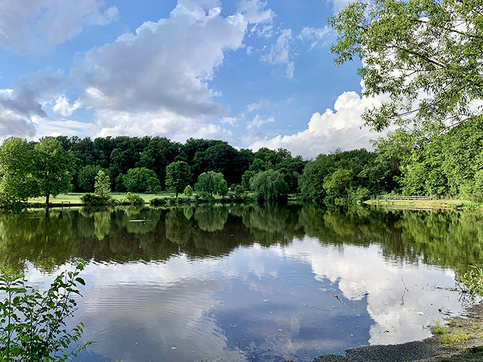 Mirror, mirror on the pond—nature's perfect reflection game creates a double dose of Delaware beauty that'll make your Instagram followers swoon.
