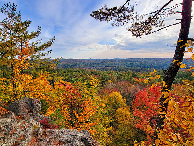 That autumn explosion of color stretching across the hills makes even the trees look like they're showing off.