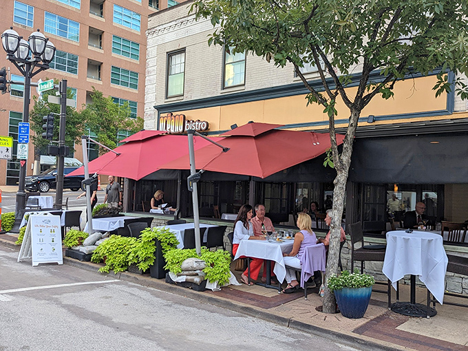 Oceano Bistro's inviting patio creates an urban oasis in Clayton, where red umbrellas and crisp white tablecloths promise a seafood adventure worth the journey.