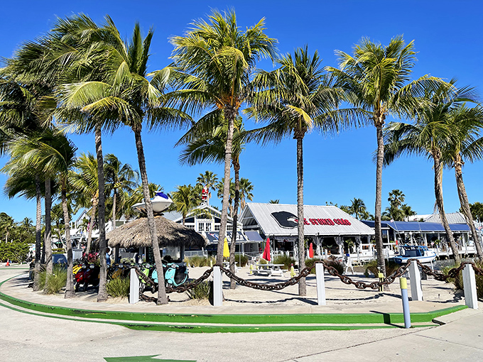 Paradise found! Swaying palms frame this waterfront seafood haven where Key West's laid-back vibe meets seriously fresh catches.