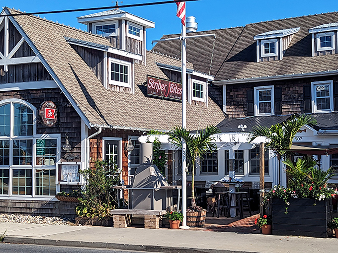 Coastal charm personified! Striper Bites' cedar-shingled exterior and inviting patio practically whisper "come in, the seafood's fantastic" to passersby on Lewes' historic streets.