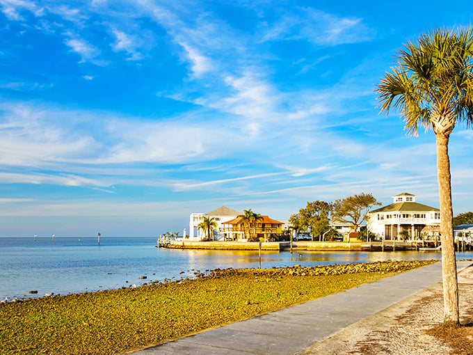 Waterfront bliss where your retirement dollars stretch like yoga instructors. New Port Richey's coastal charm comes without the South Beach price tag.
