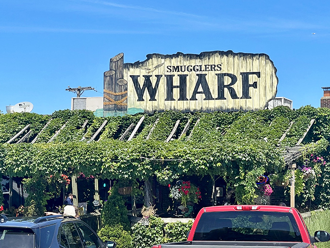 Nature's taking over at Smugglers' Wharf, where vines embrace the weathered sign like an old friend returning from sea. Pure Erie charm.