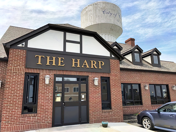 The Harp stands proudly against the Cleveland skyline, its Tudor-style charm promising Irish hospitality beneath that iconic water tower.